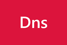 DNS快捷工具箱+轻量高性能DNS服务器