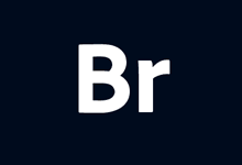 Adobe Bridge 2025 安装版